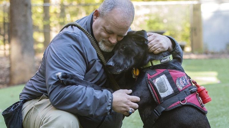 How Veterans Get Their Own Service Dog - Amazing Service Dogs